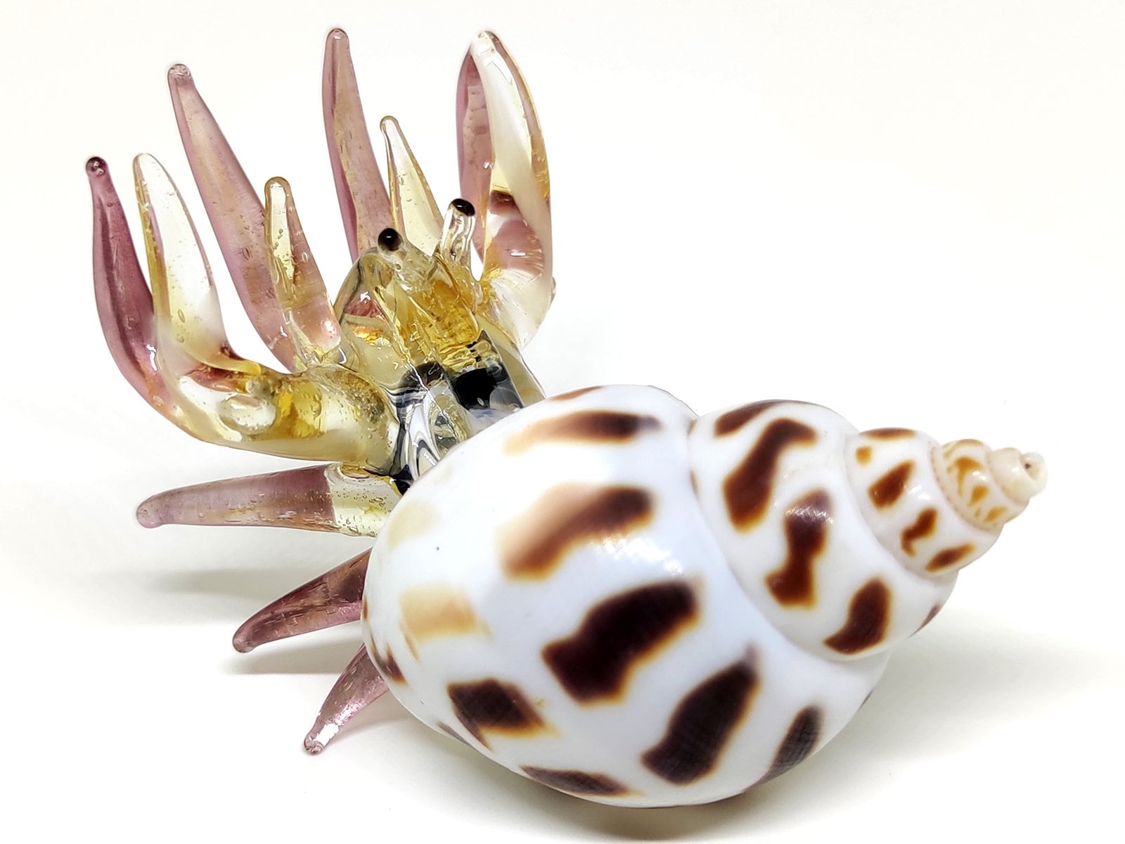 Seashell Hermit Crab Miniature Figurines Beach Animals Hand Blown Glass ...