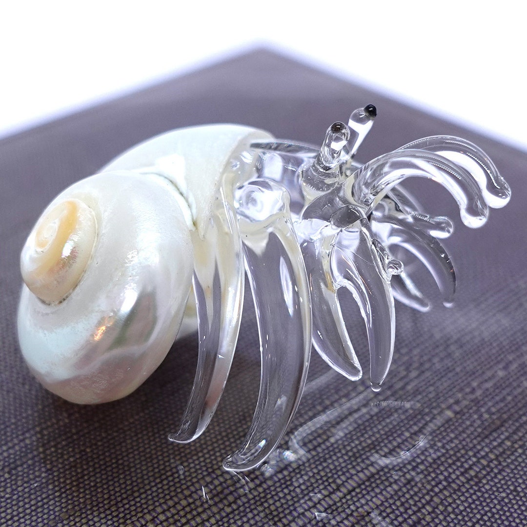 Sea Shell Seashell Hermit Crab Conch Tiny Miniature Figurines Beach ...