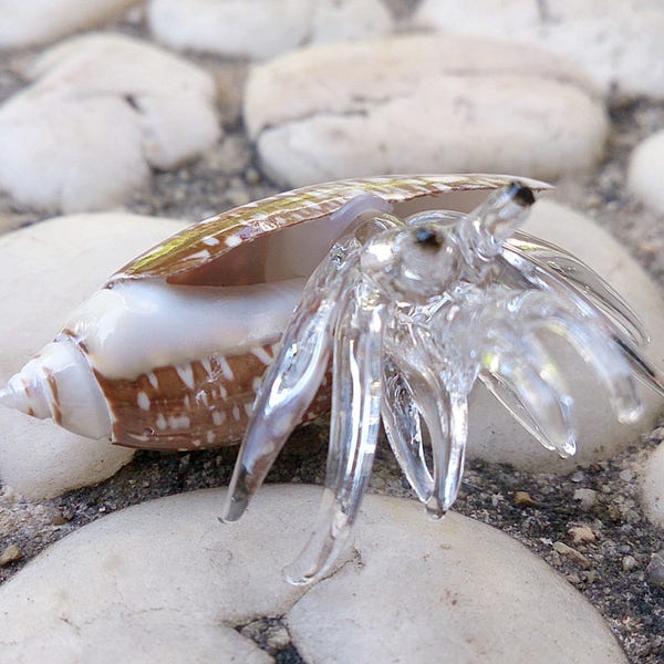 Seashell Animals - Etsy