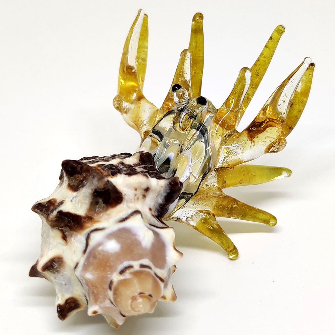 Seashell Hermit Crab Miniature Figurines Animals Hand Blown - Etsy