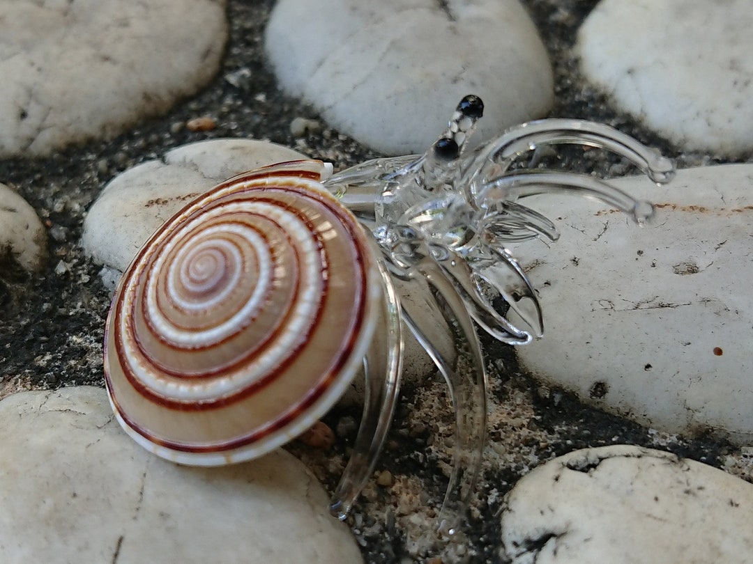 Sea Shell Seashell Hermit Crab Conch Tiny Miniature Figurines Beach ...