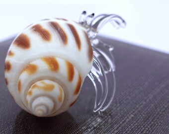 Tiny Miniature Sea Shell Seashell Hermit Crab Beach Animals Blown Glass ...