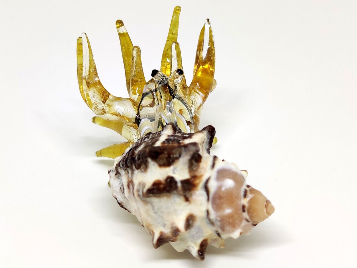 Seashell Hermit Crab Miniature Figurines Animals Hand Blown - Etsy