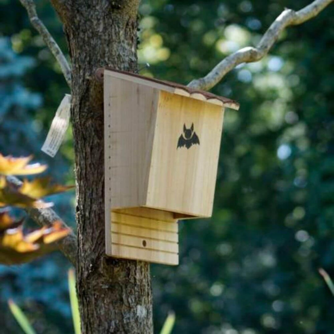 Large Bat Box, Garden Wildlife, Bat House, Outdoor Nature, Bat Habitat ...
