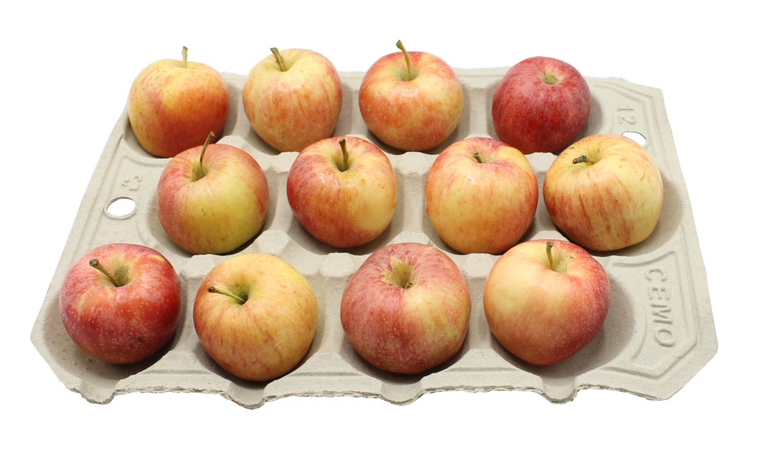 Apple Trays for Storing Apples, Stackable Design - Etsy UK