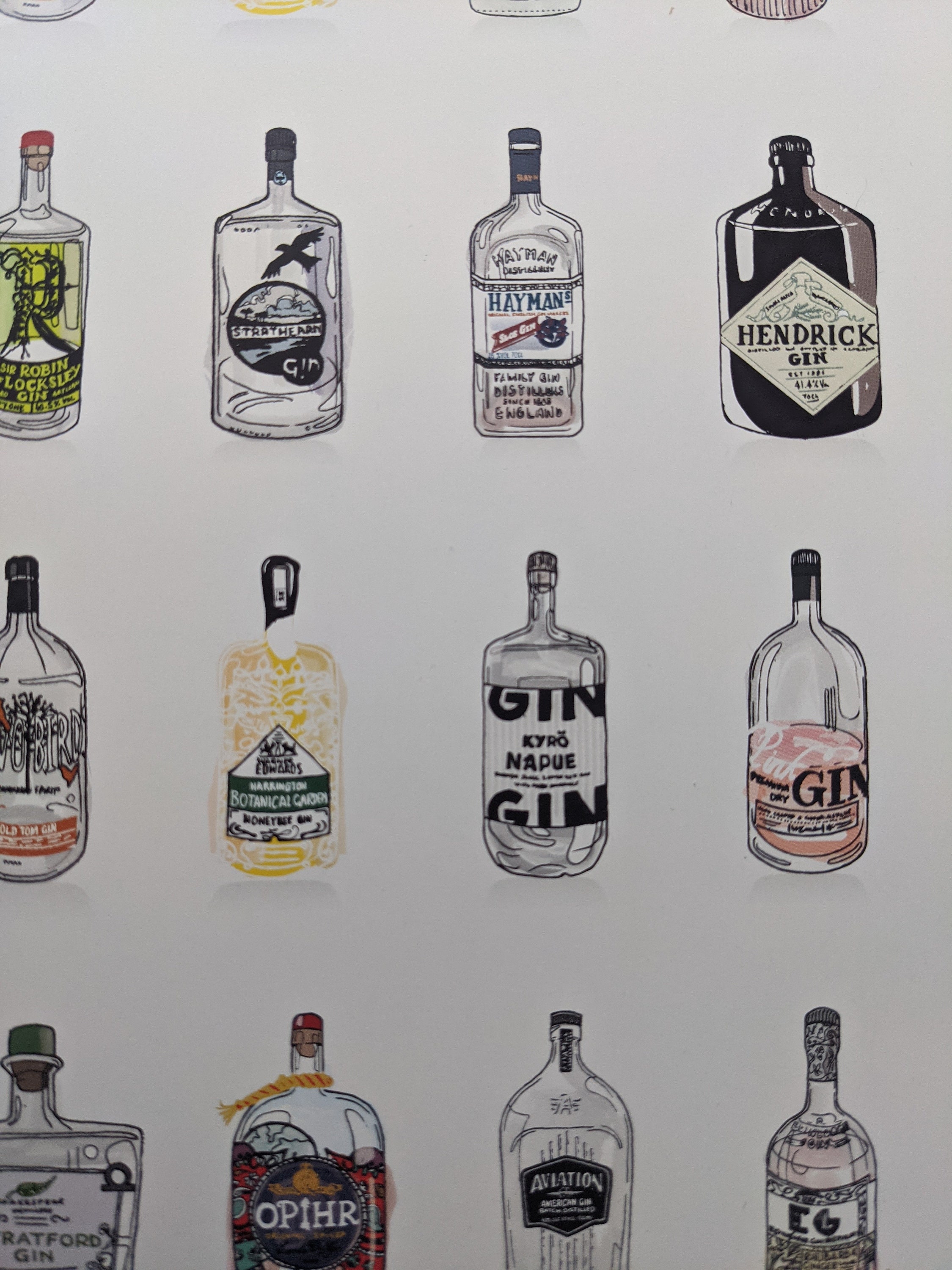 Gin A3 Art Print, Gin Artwork, Gin Poster, Gin Bottles Illustration ...