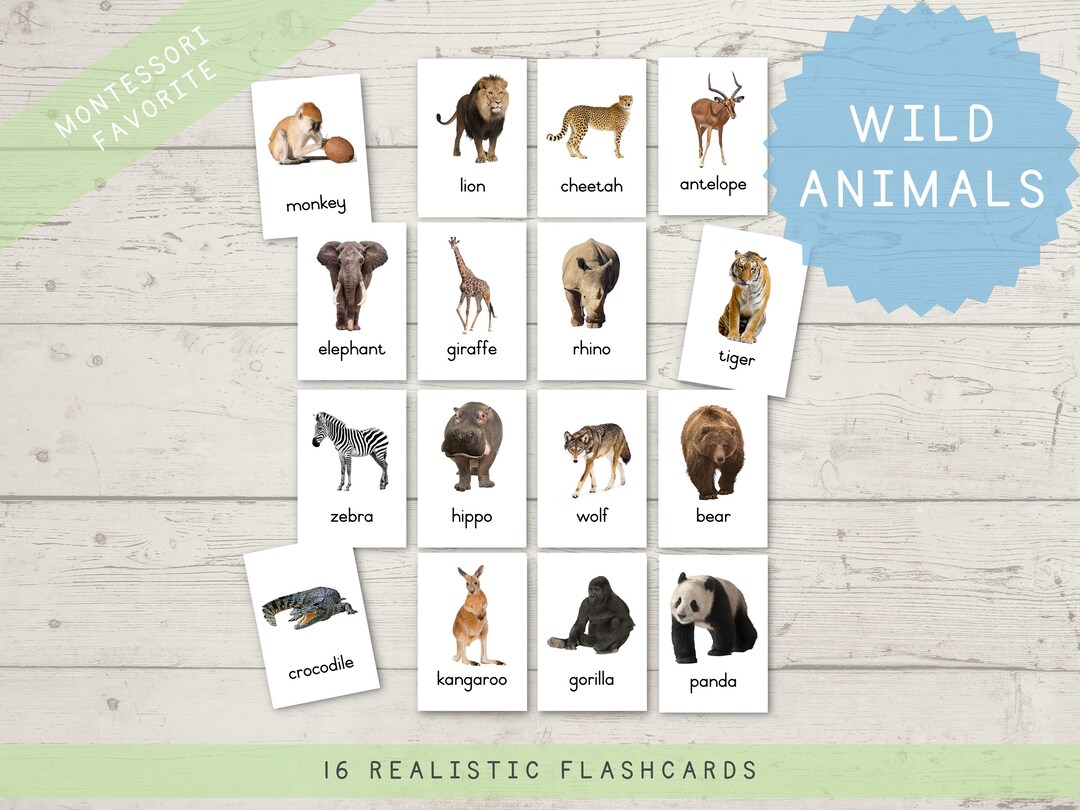 Wild Animals Real Pictures 16 Montessori Cards Flashcards - Etsy