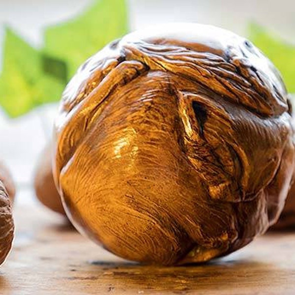 Totem Animal Art - Etsy