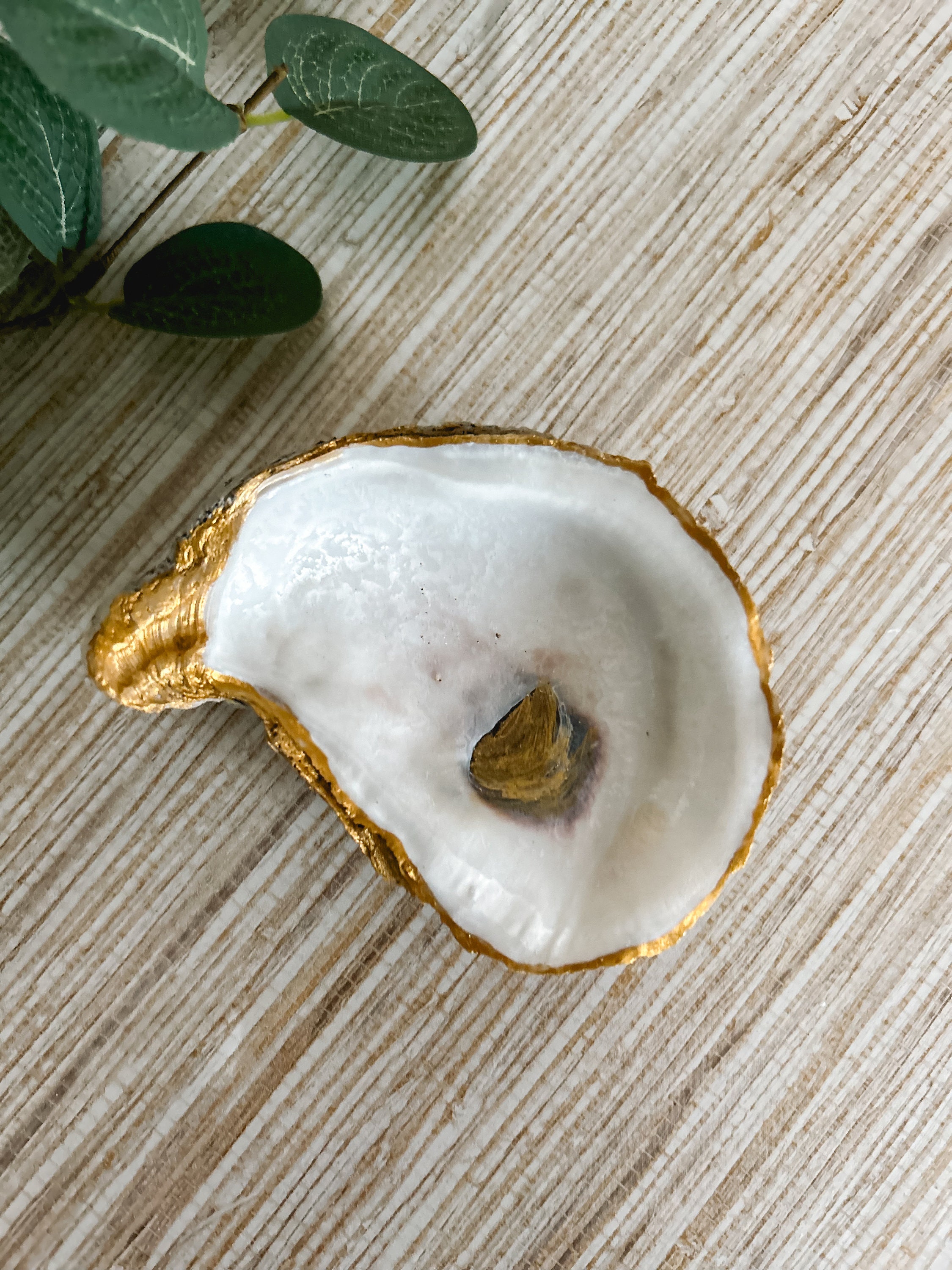 Decorative Oyster Shells, Set of 3 | Oyster Shell Decor - Etsy