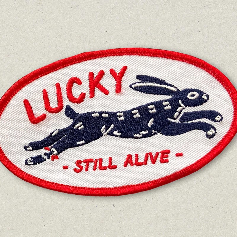 Iron on Rabbit Patches - Etsy