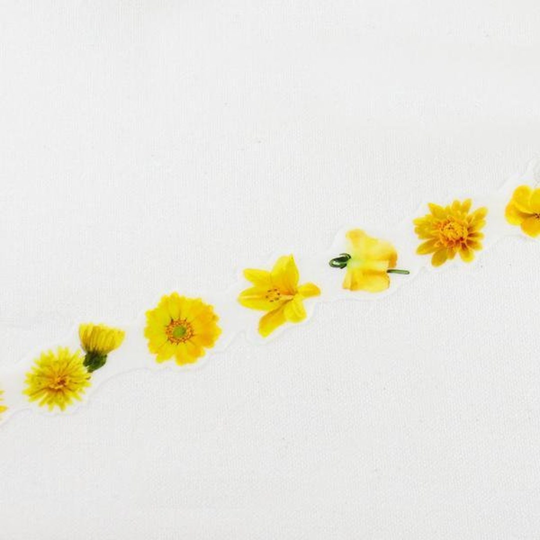 Yellow, Masking Tape - ROUND TOP, 20mm X 5m - Etsy UK