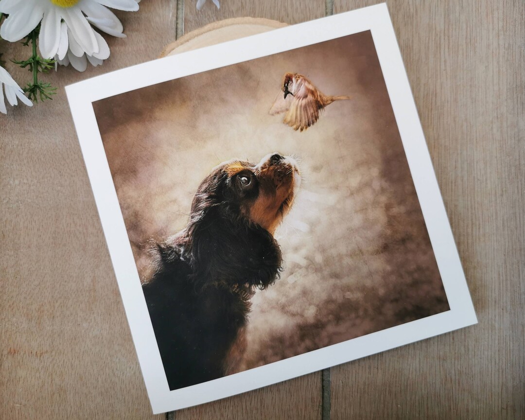 Cavalier King Charles Spaniel Card, Cavalier King Charles Card, Ckcs ...