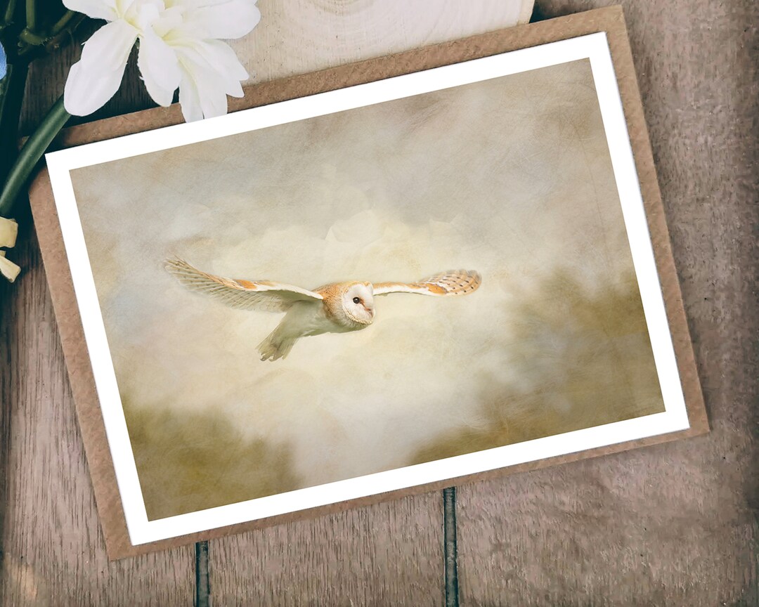 Owl Card, Barn Owl Card, Bird Card, Wildlife Card, Blank Card, Greeting ...