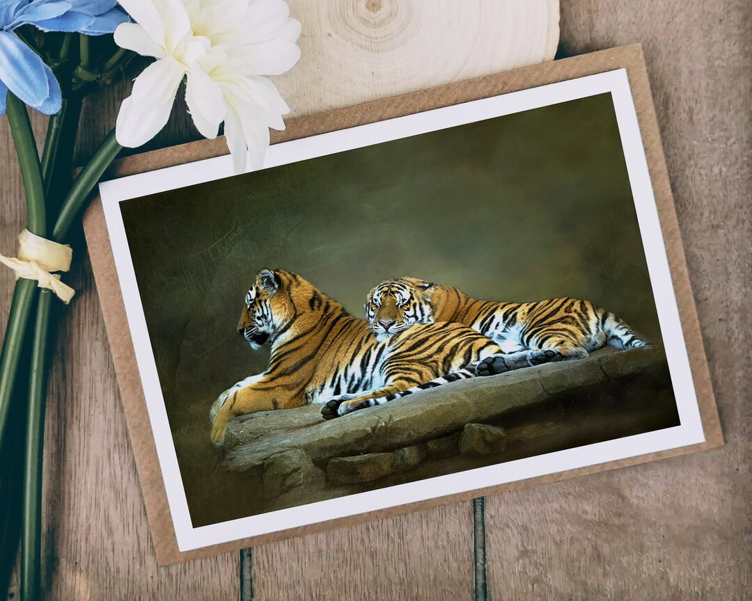 Tiger Card, Big Cat Card, Tiger Lover Card, Wildlife Card, Blank Card ...