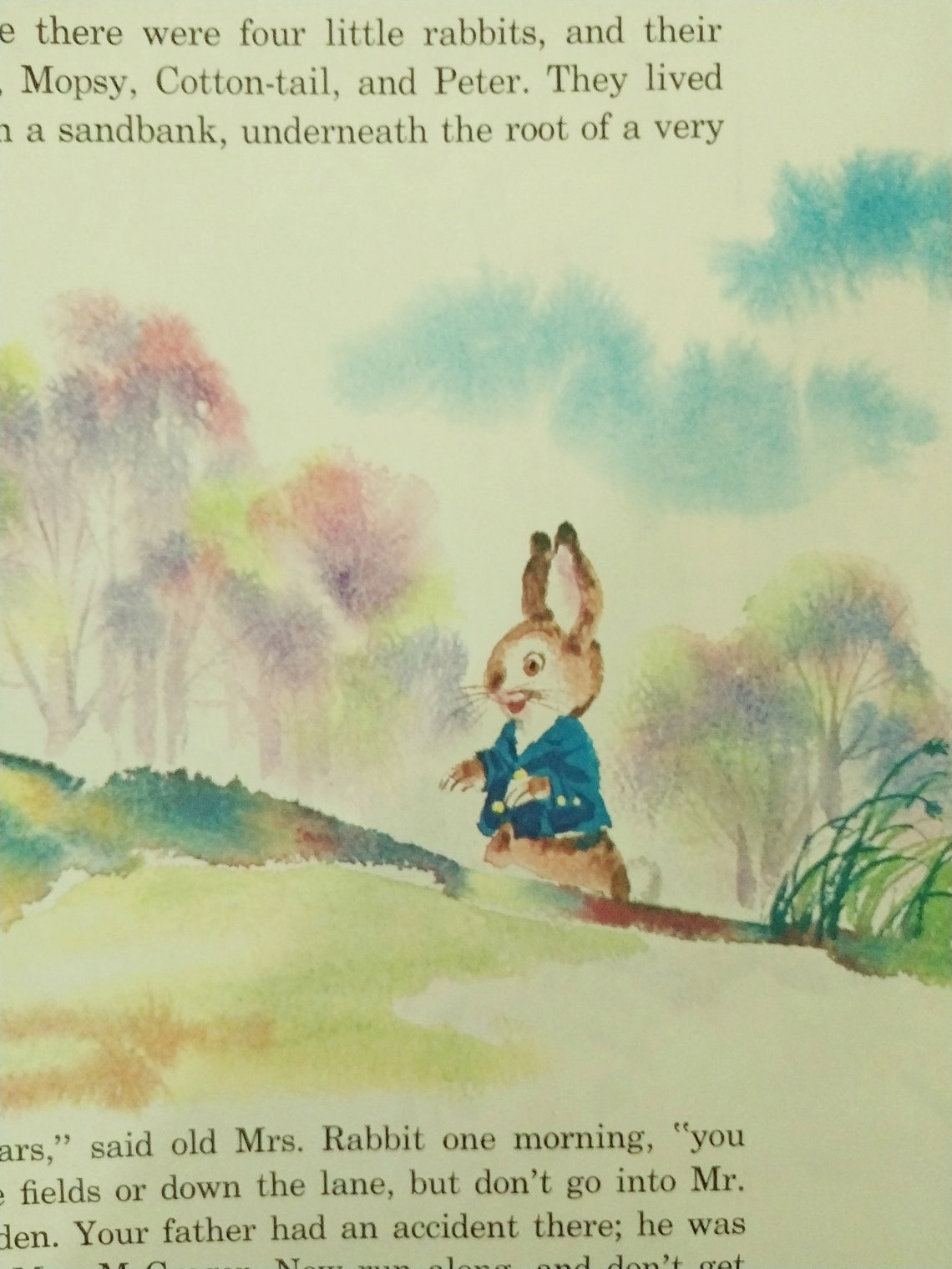 Vintage Children's Book the Tale of Peter Rabbit by Beatrix Potter - Etsy