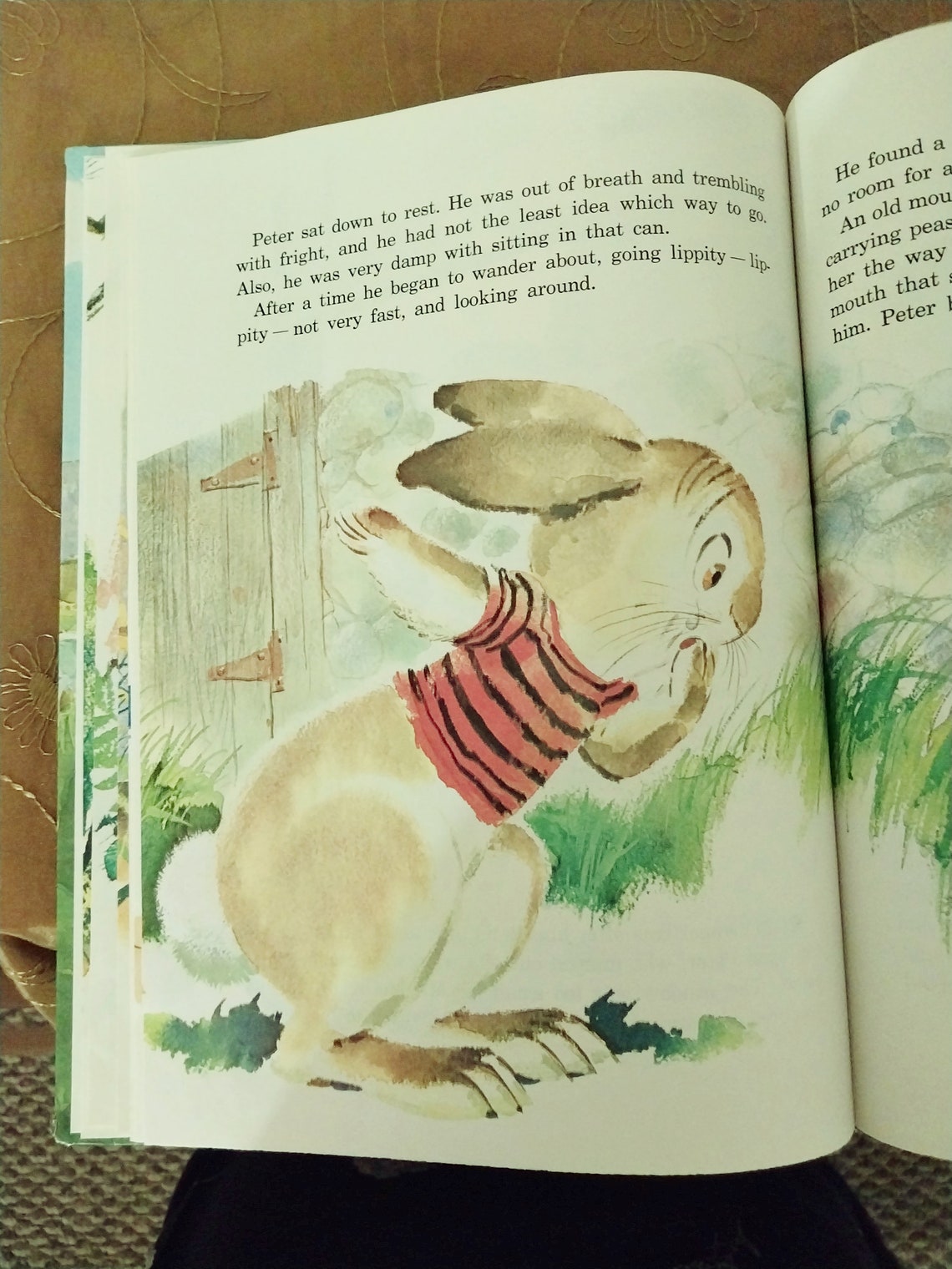 Vintage Children's Book the Tale of Peter Rabbit by Beatrix Potter - Etsy