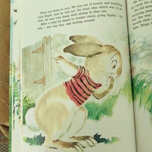 Vintage Children's Book the Tale of Peter Rabbit by Beatrix Potter - Etsy