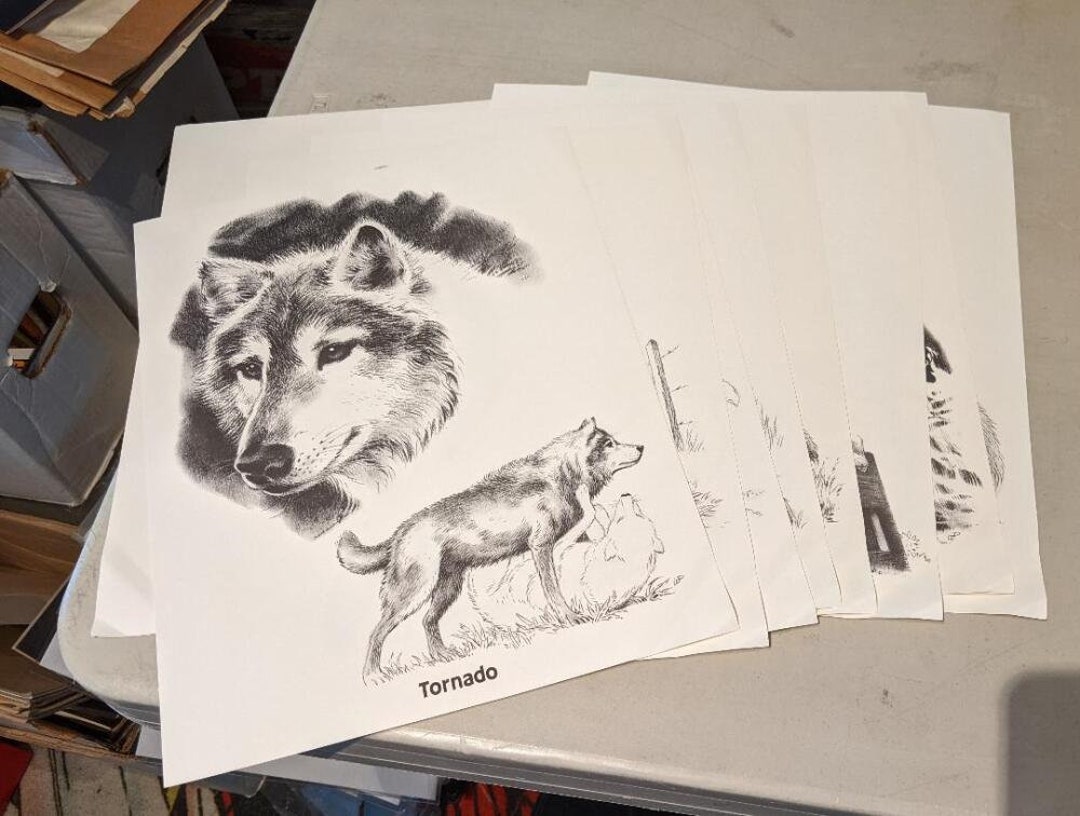 Wendy Pini Wolves of Wolf Park 1986 - Etsy