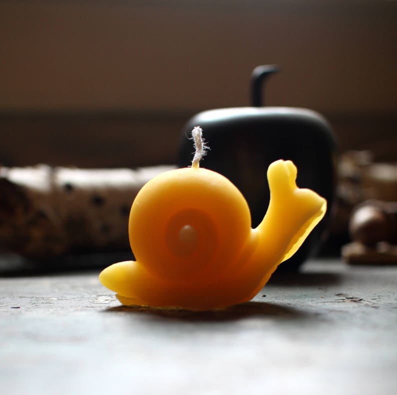 Beeswax Snail Candle - Etsy