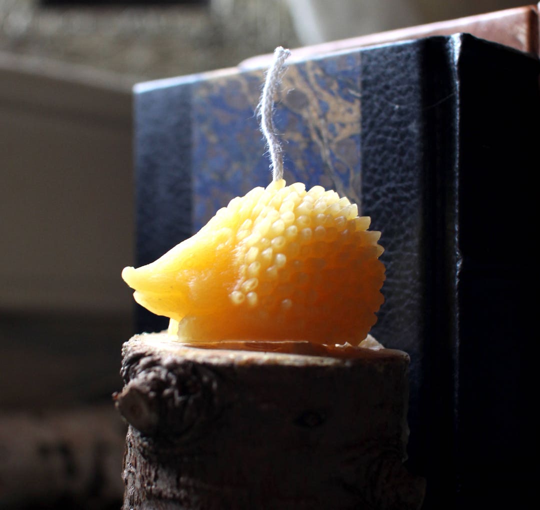 Beeswax Hedgehog Candle - Etsy