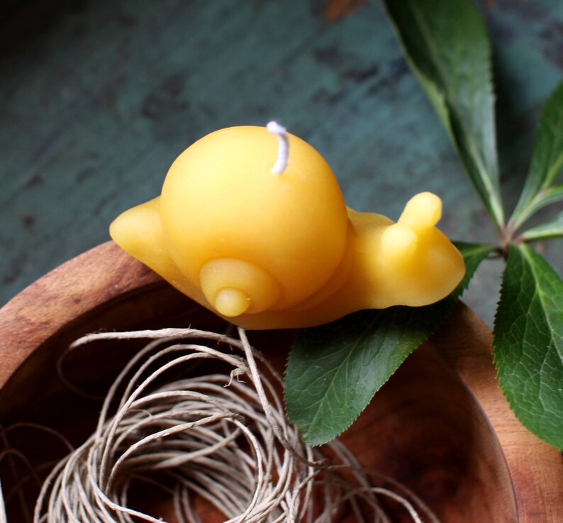 Beeswax Snail Candle - Etsy