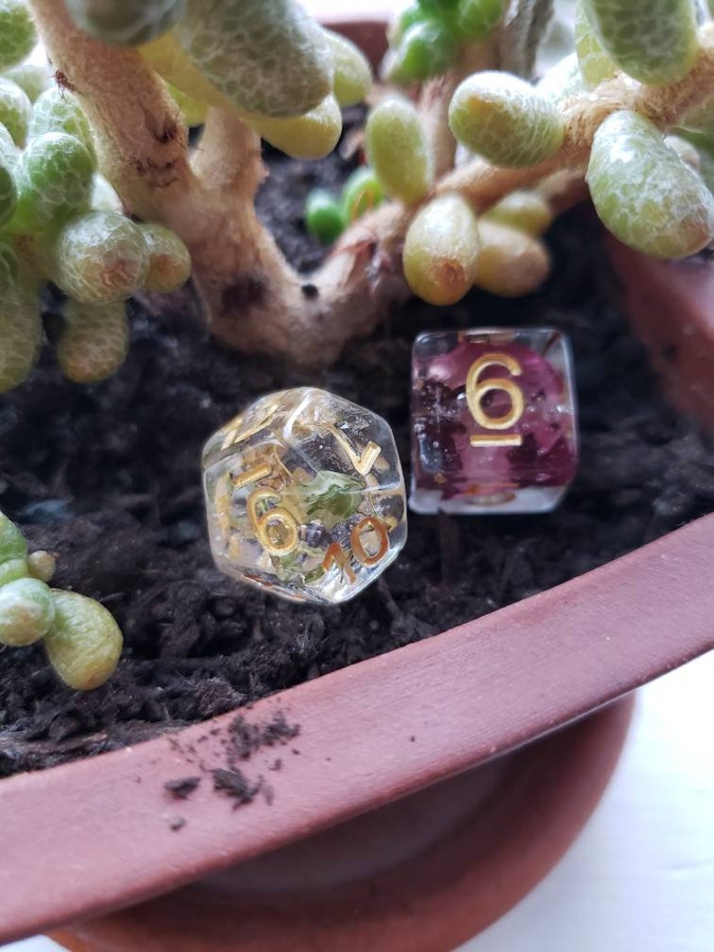 Forest Floor REAL PLANTS Dice Set For Dungeons And Dragons | Etsy