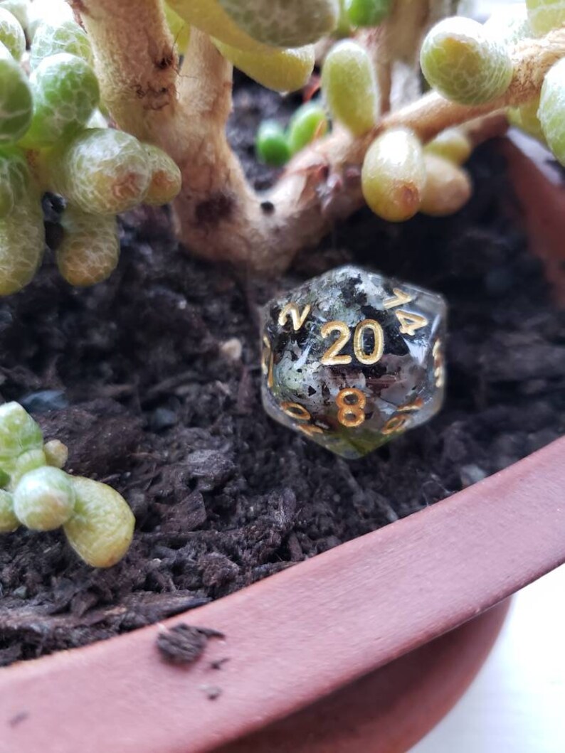 Forest Floor REAL PLANTS Dice Set For Dungeons And Dragons | Etsy