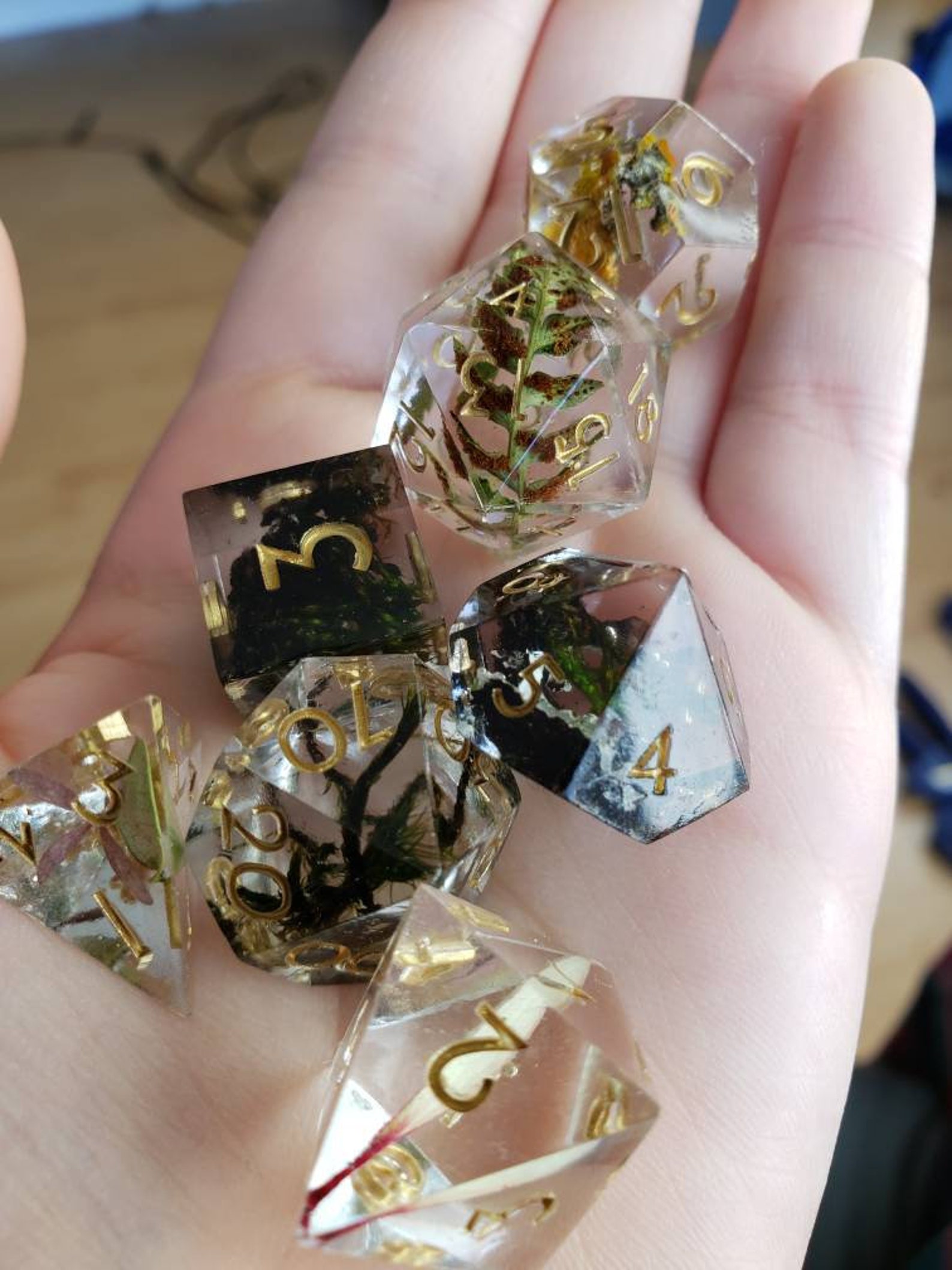 Forest Floor REAL PLANTS Dice Set for Dungeons and Dragons - Etsy