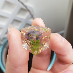 Forest Floor (REAL PLANTS!) Dice Set for Dungeons and Dragons Tabletop ...