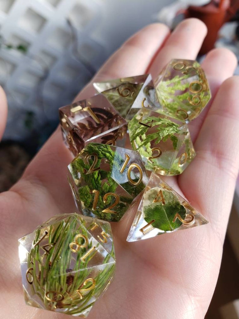 Forest Floor REAL PLANTS Dice Set for Dungeons and Dragons - Etsy