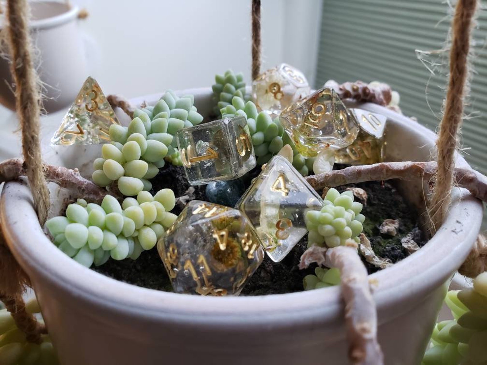 Forest Floor REAL PLANTS Dice Set for Dungeons and Dragons - Etsy