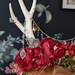 Elegant Red Faun Fantasy Style Antlers - Etsy