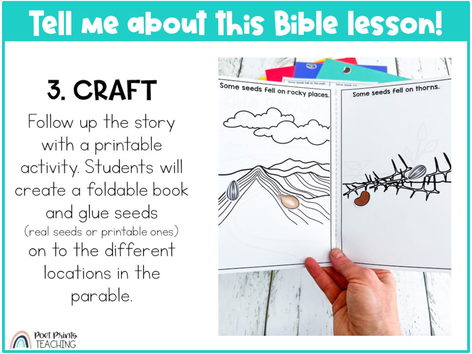 The Parable of the Sower Printable Bible Craft and Lesson for Preschool ...
