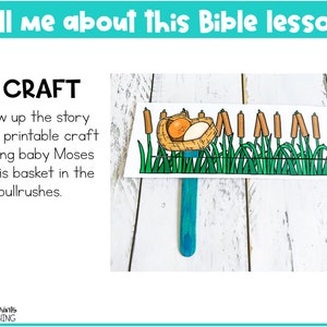 Birth of Moses Preschool Bible Lesson, Printable Activities for Sunday ...