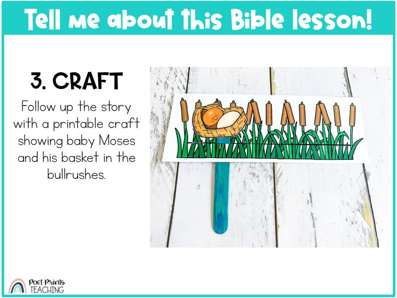 Birth of Moses Preschool Bible Lesson, Printable Activities for Sunday ...