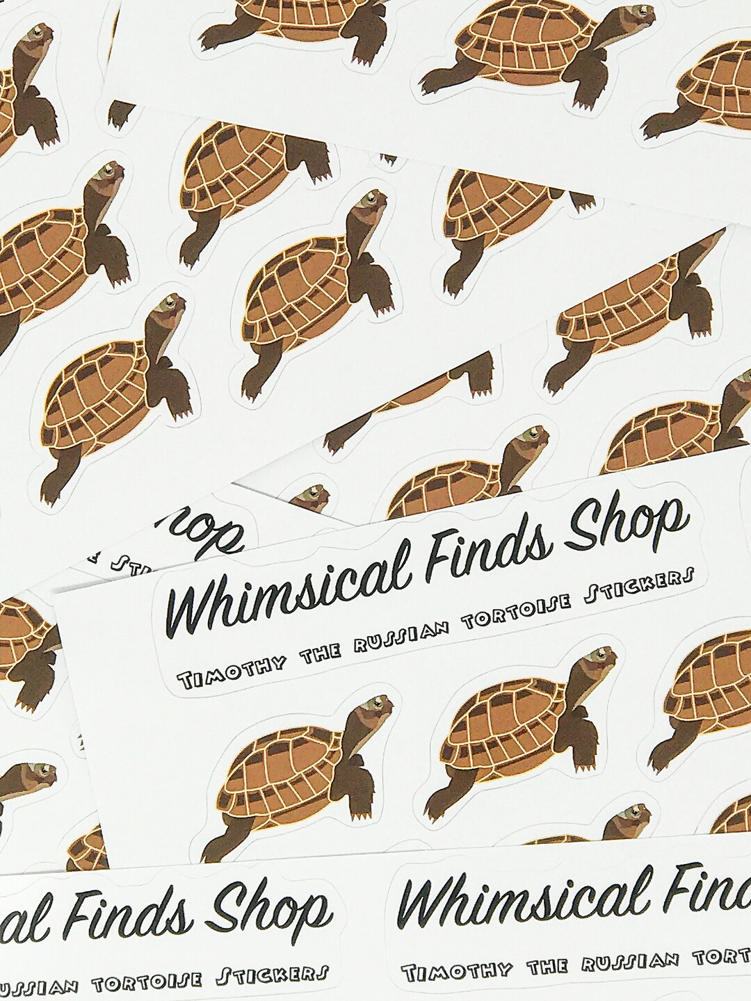 Timothy the Russian Tortoise Stickers - Etsy