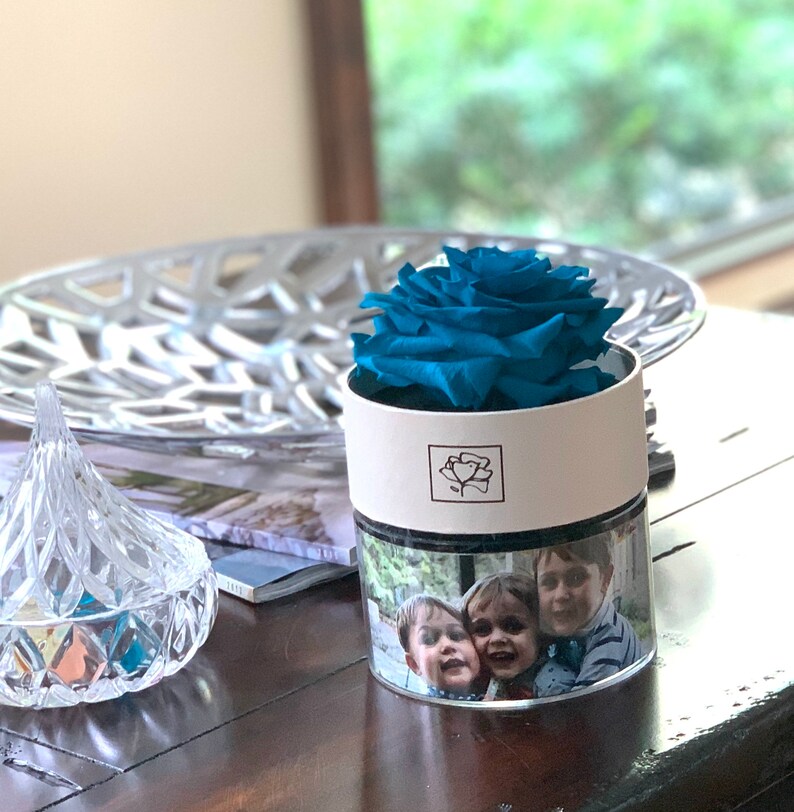 Preserved Roses/ Gift Box/ Roses/ Decoration/ Bird-rose - Etsy