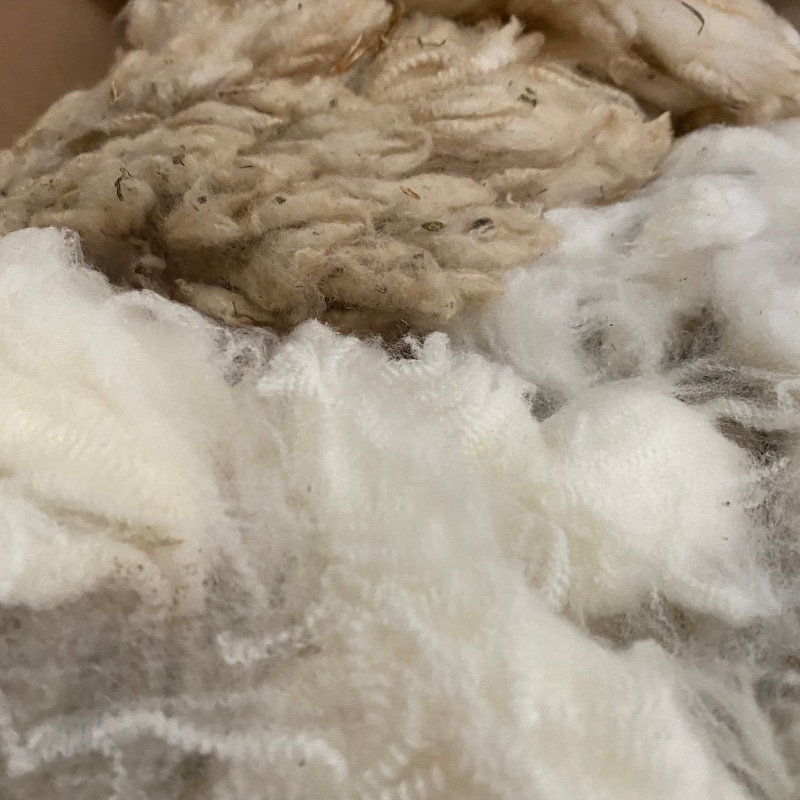 Cormo Fleece - Etsy