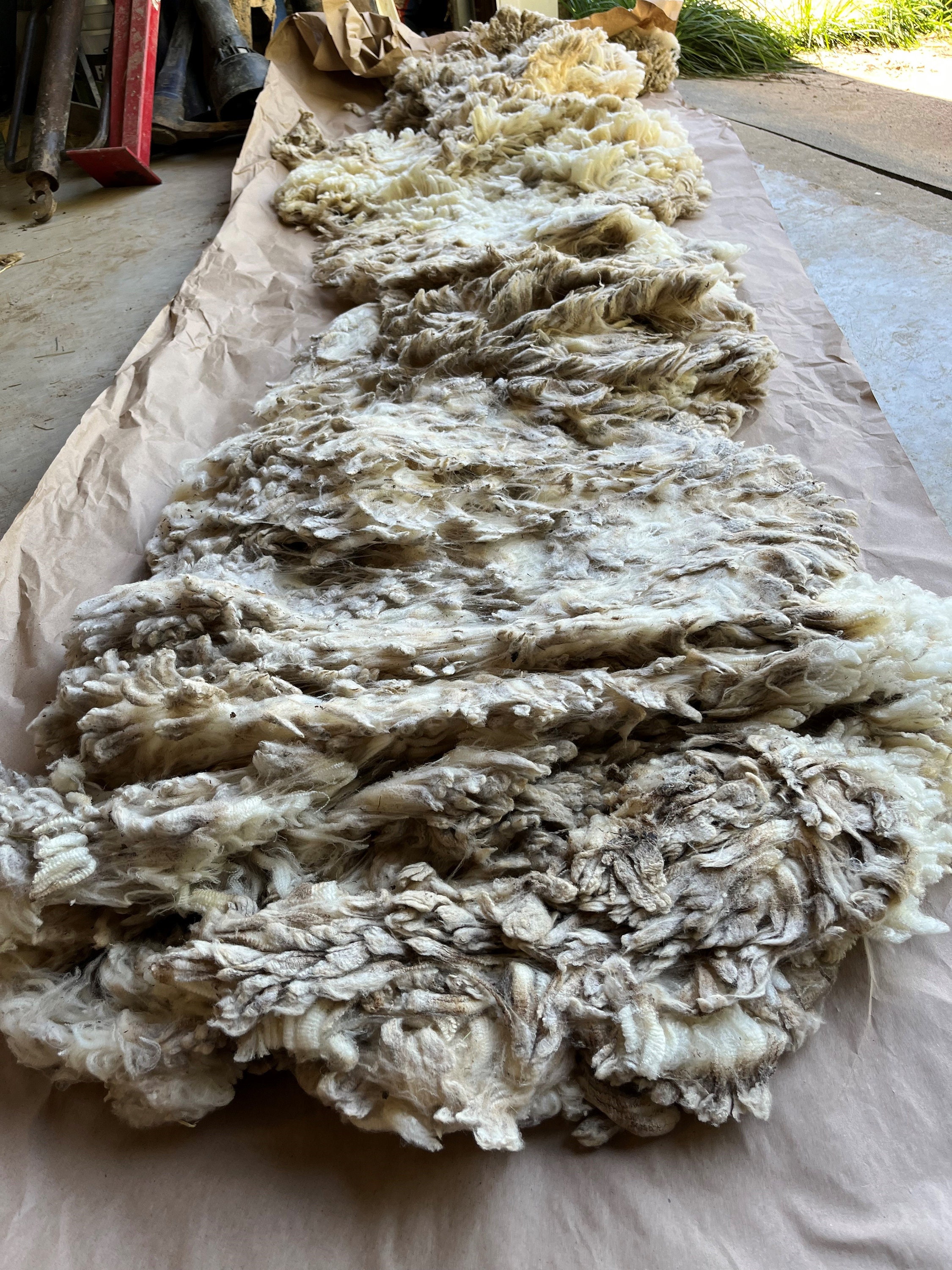 Super Crimpy 18 Micron Merino Wool - Etsy