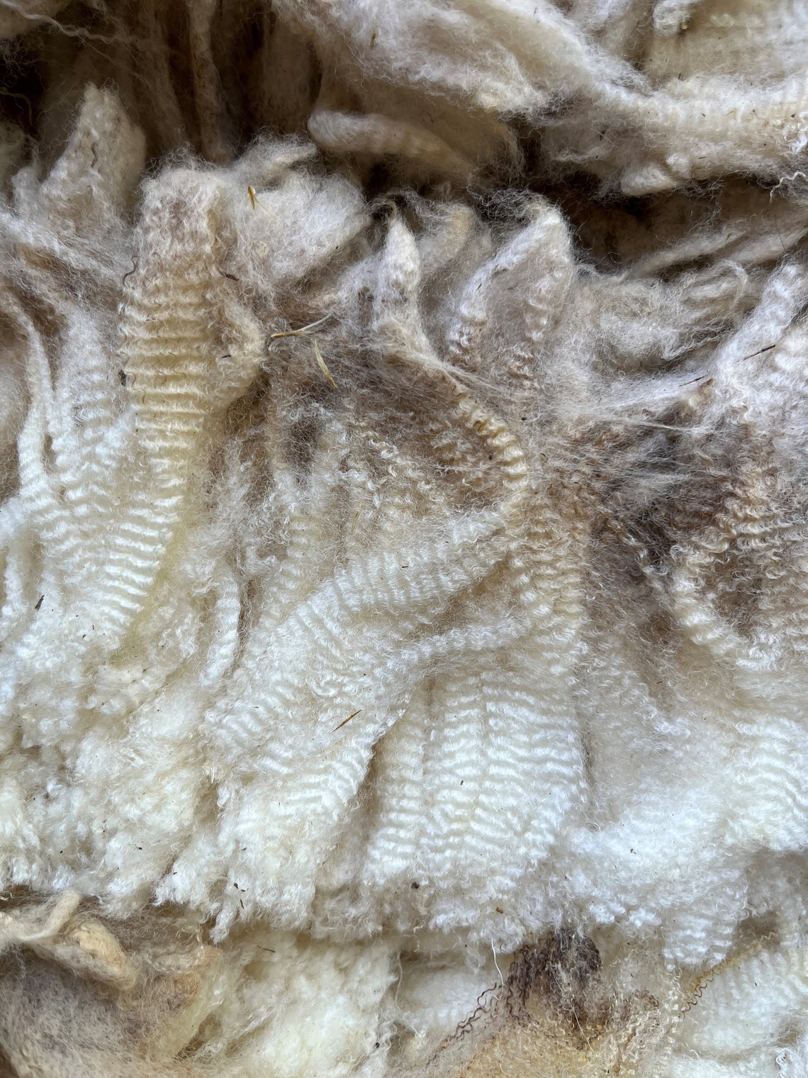 Super Crimpy 18 Micron Merino Wool - Etsy