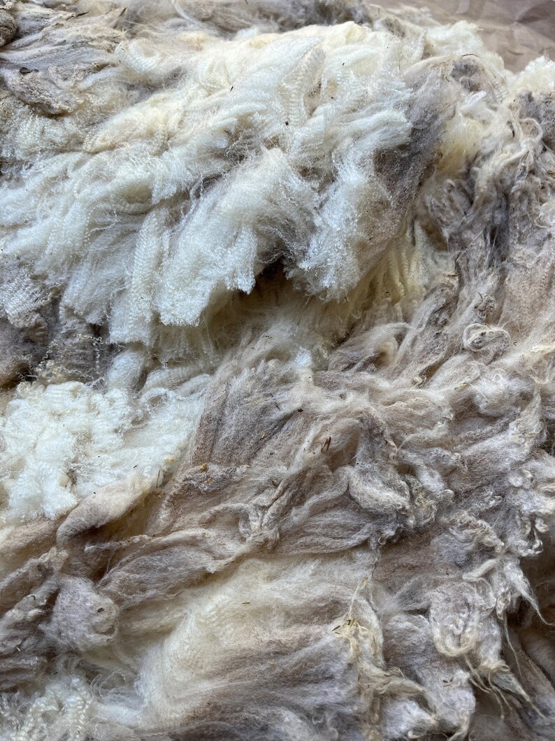 Super Crimpy 18 Micron Merino Wool - Etsy