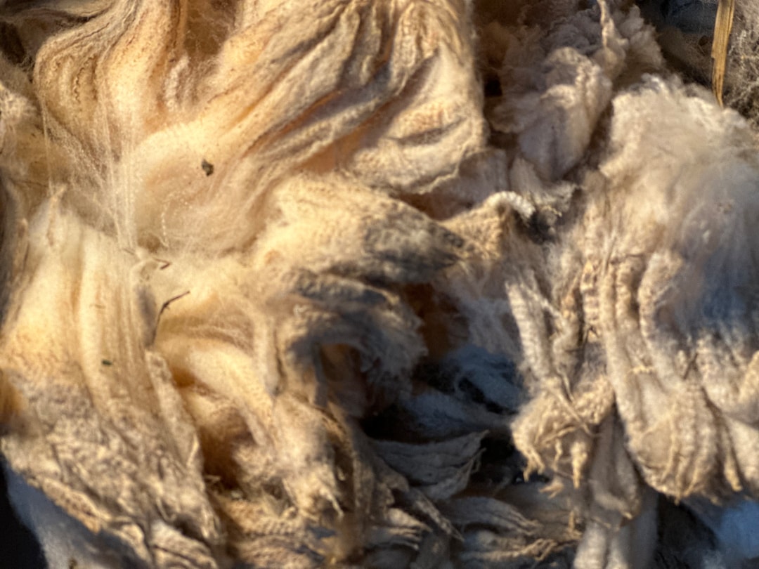Super Premium French Merino rambouillet Wool - Etsy