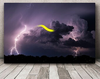 Lightning Bug Wall Art - Etsy