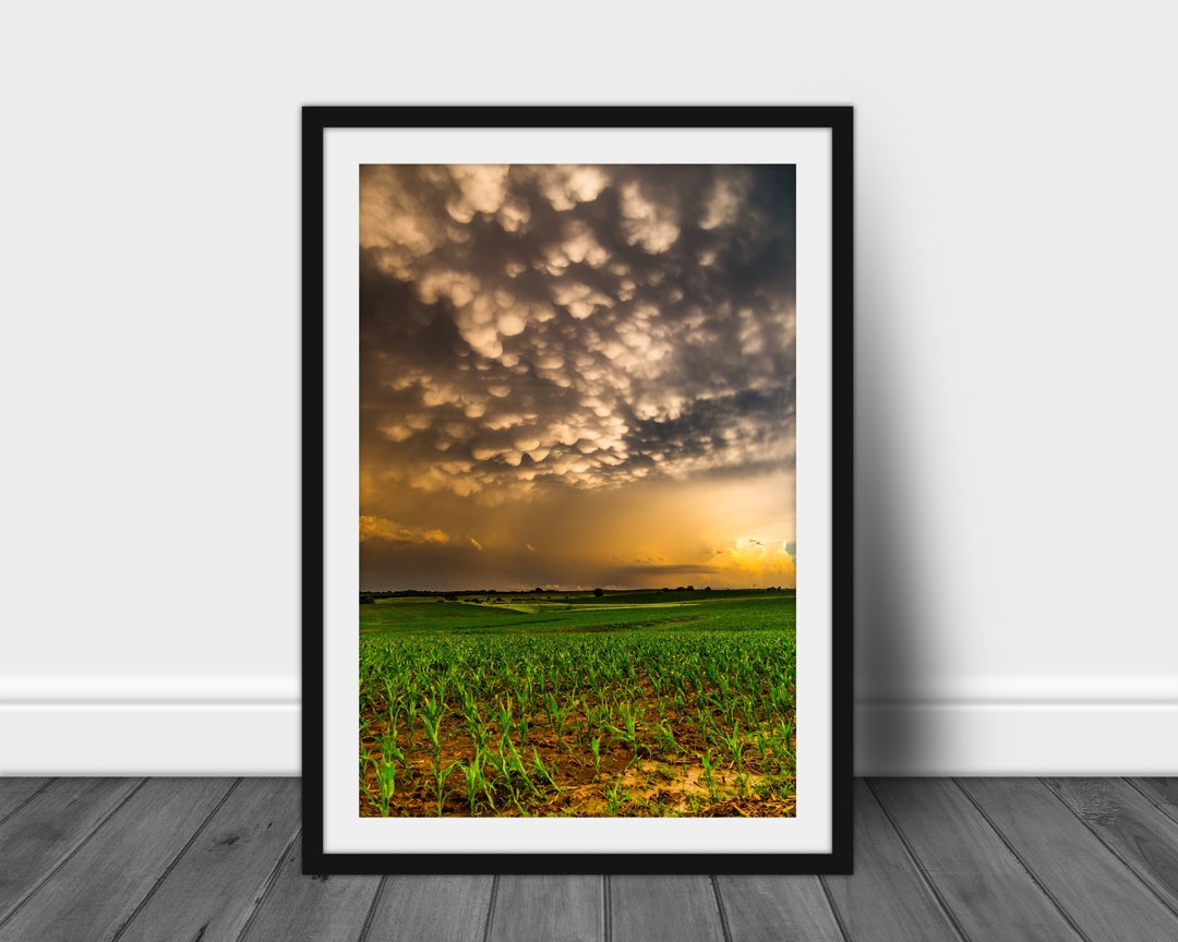 Nebraska Landscape Photography Print, Colorful Sunset Wall Art Photo of ...