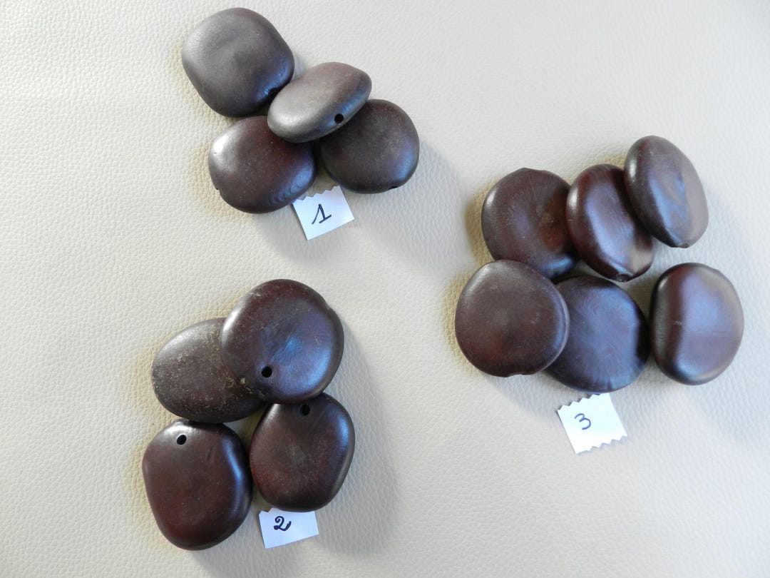 Wawa Seeds (entada Rheedii) - Lucky Sea Bean - Natural Decor & Talisman ...