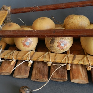 Balafon With 12 Tones or Blades on 5 African Calabash Gourds, Xylophone ...