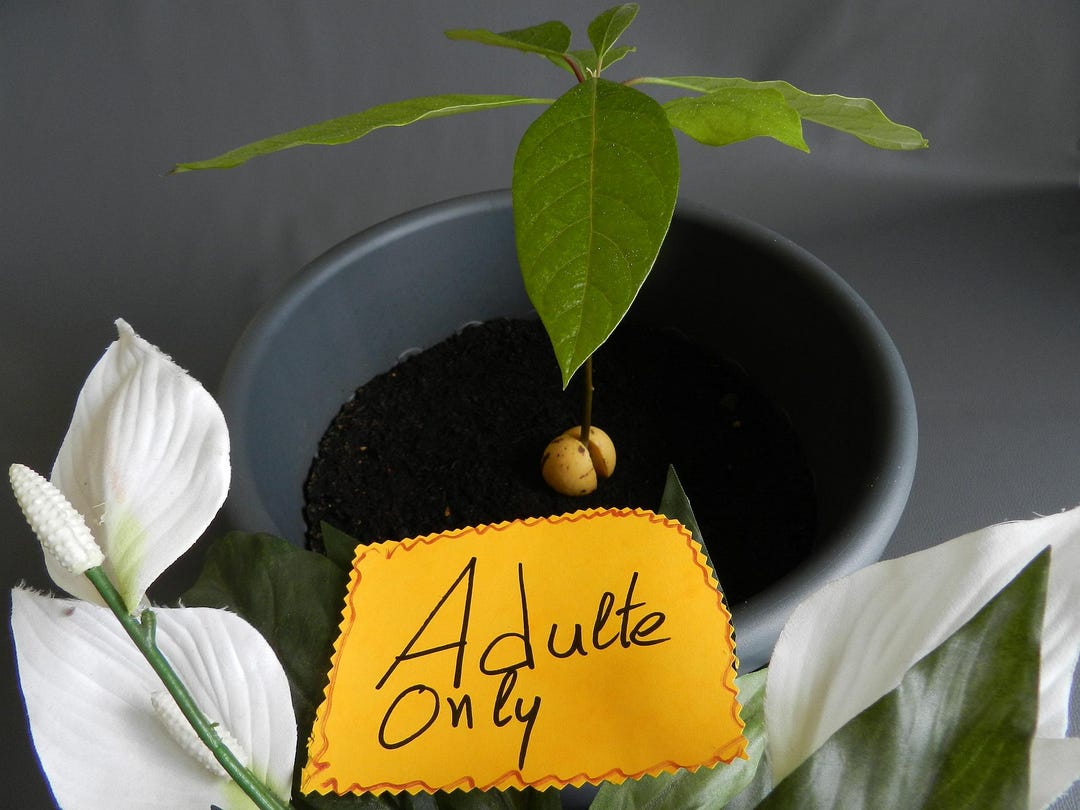 Erotic Sculpture Decoration, Woman Lying on Wooden Phallus Penis ...