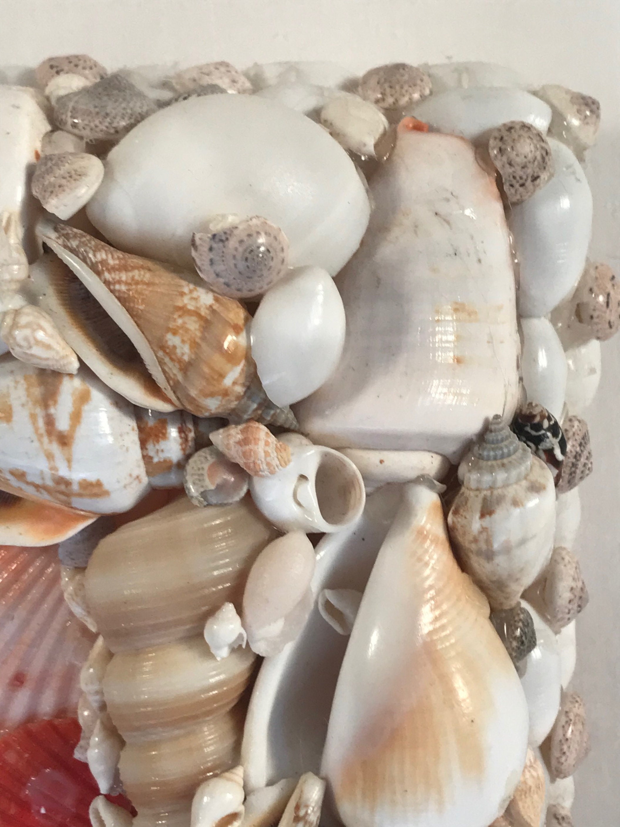 Shell Frame Mirror Beach House Decor Sea Shell Wall Décor - Etsy