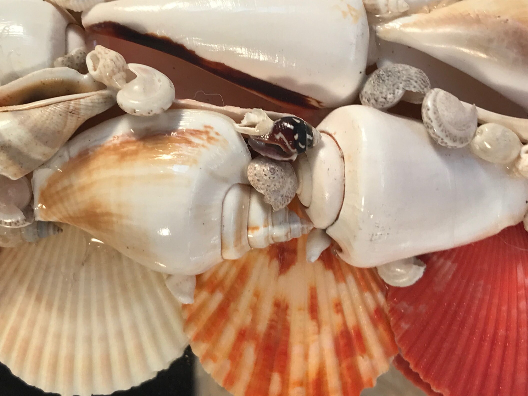 Shell Frame Mirror Beach House Decor Sea Shell Wall Décor - Etsy