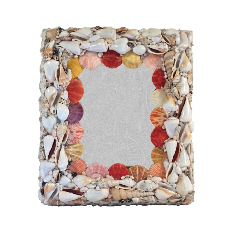 Shell Frame - Etsy